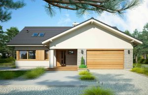 Быстровозводимый одноэтажный дом AET-017